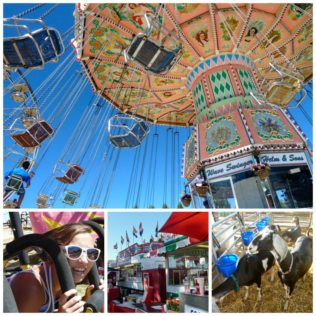 A County Fair Picnic Party #BeThere - Positively Stacey