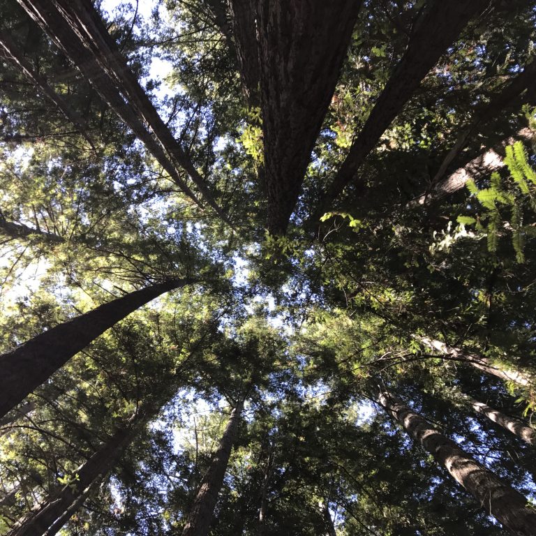 22 Fall Time Activities For You to Enjoy - Positively Stacey