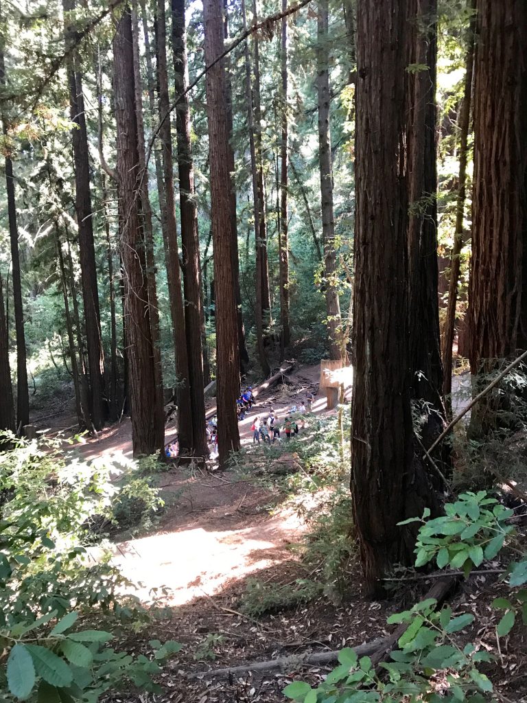 22 Fall Time Activities For You to Enjoy - Positively Stacey