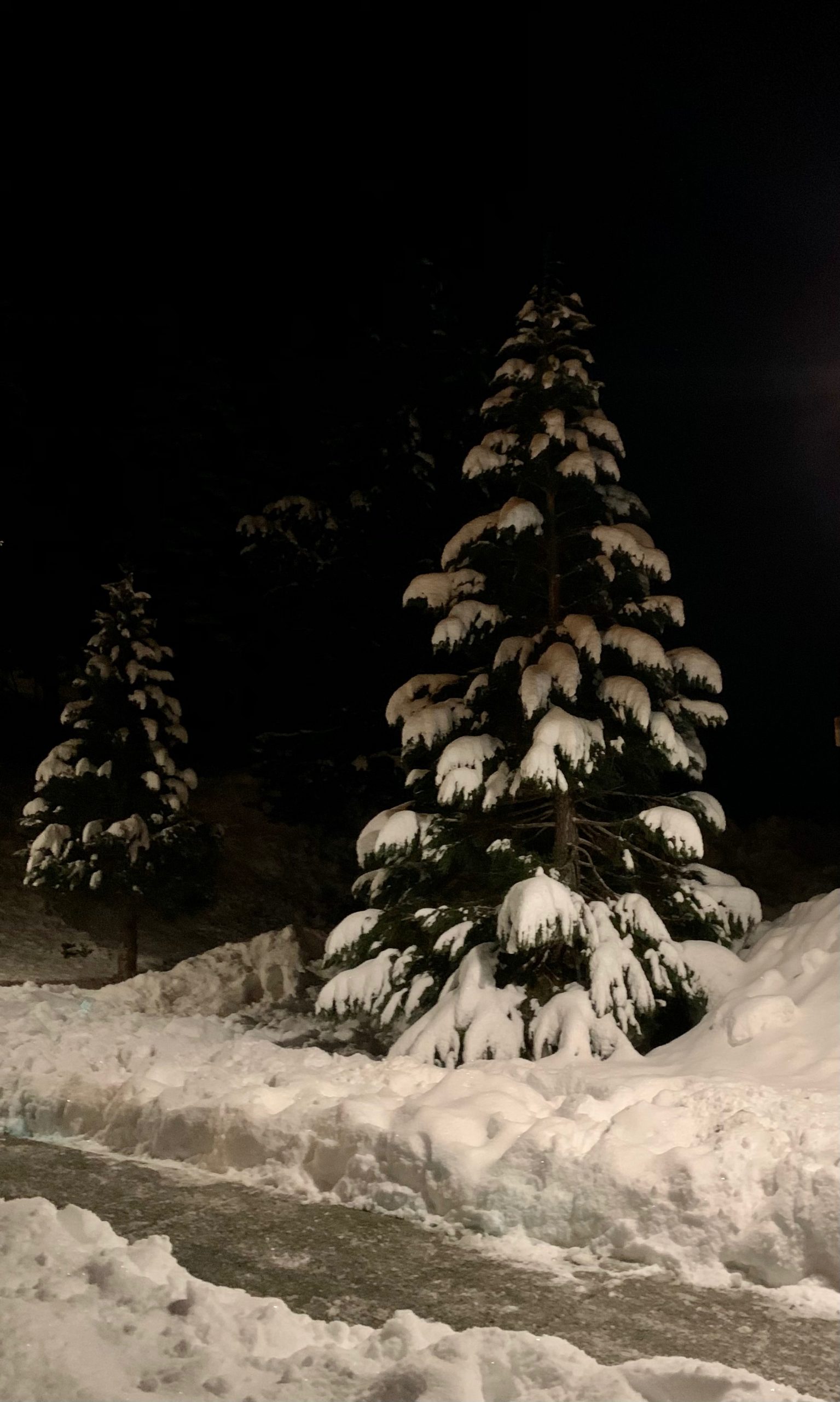 12 Activities to Beat the Winter Blahs - Positively Stacey