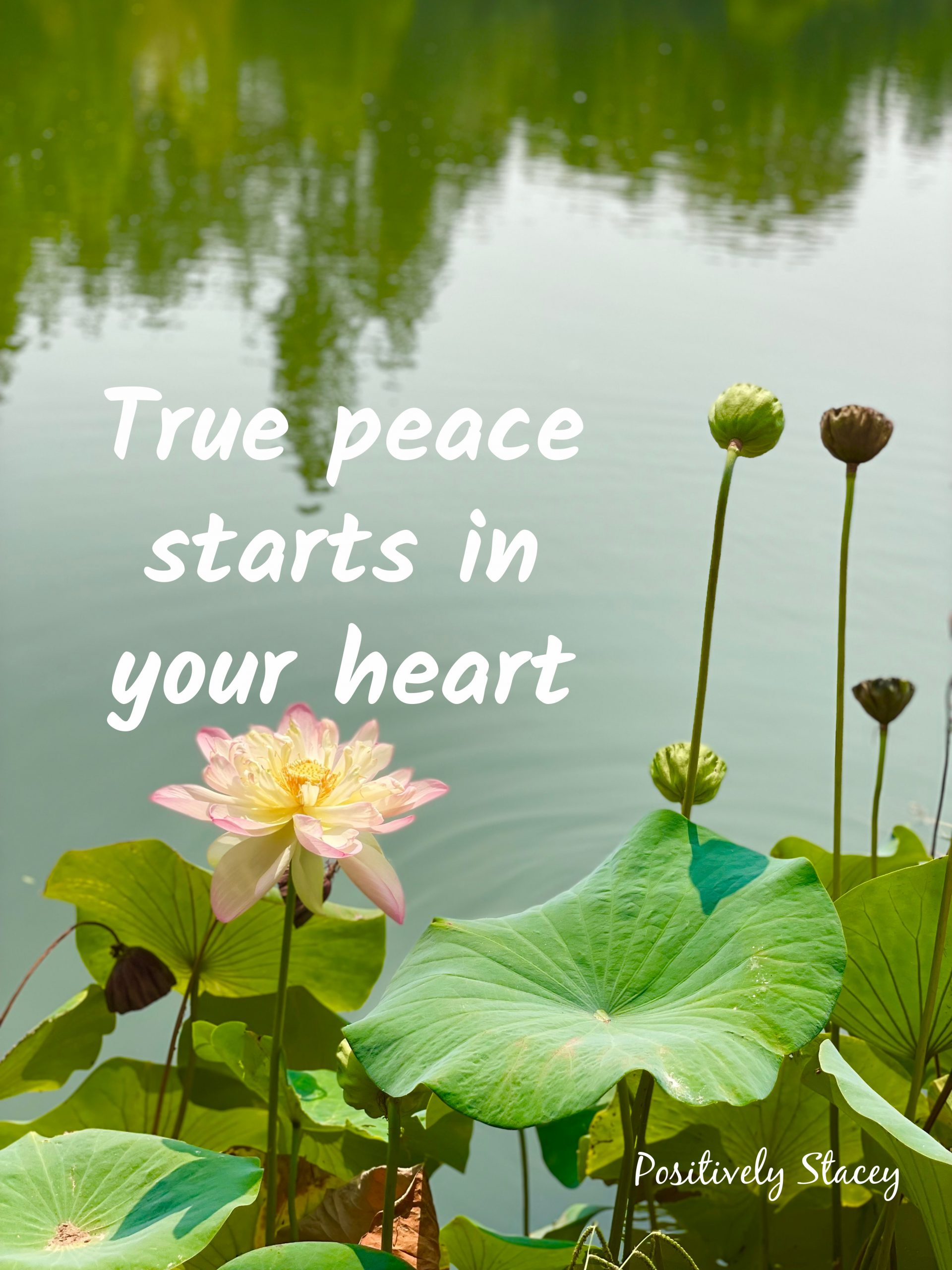 Finding Peace in Your Heart - Positively Stacey
