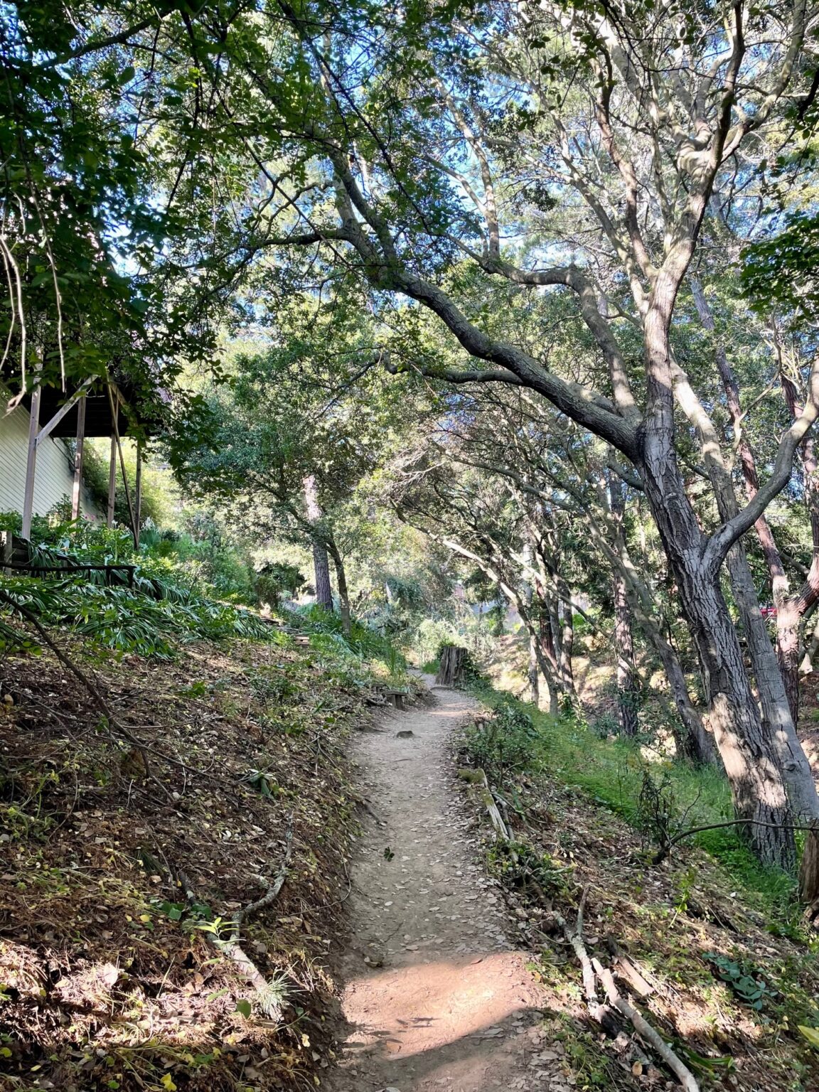 Radical Life Changes - Positively Stacey